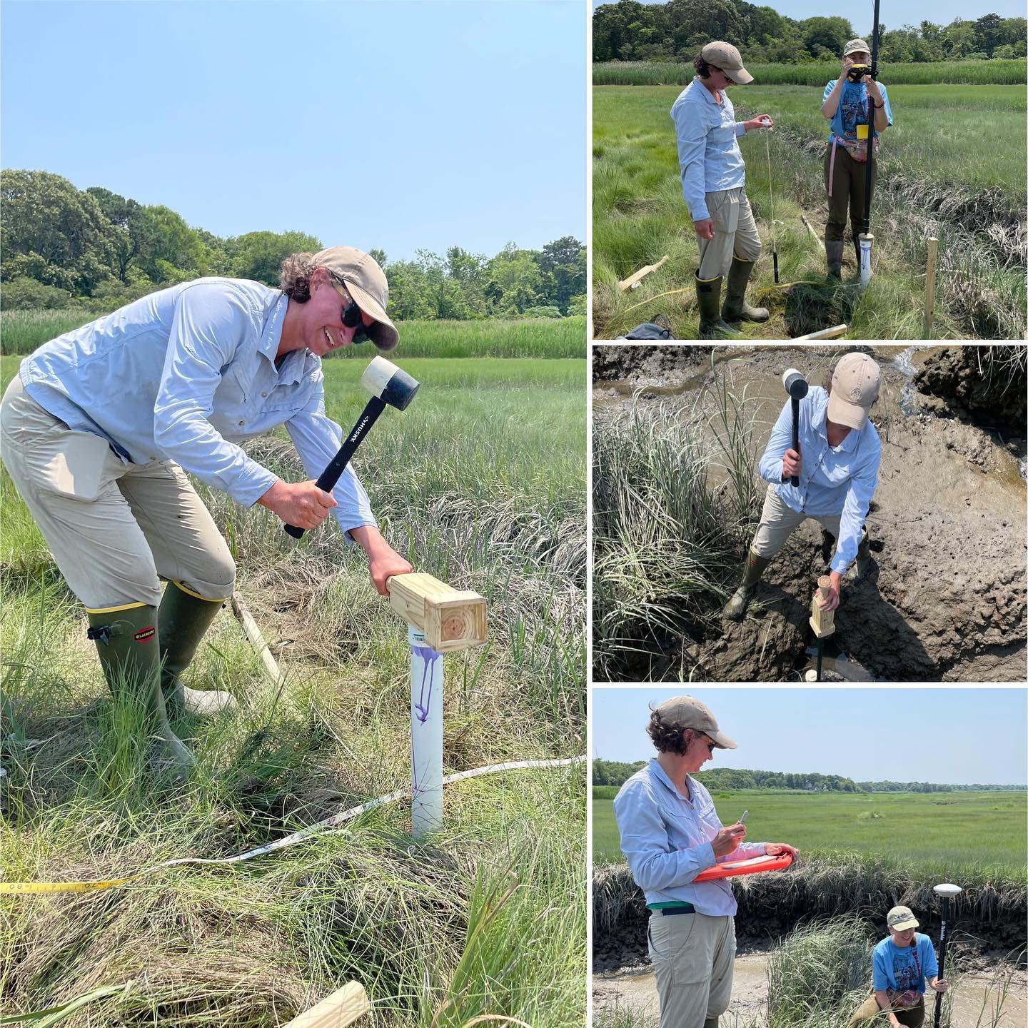 In the field with our ecologists...