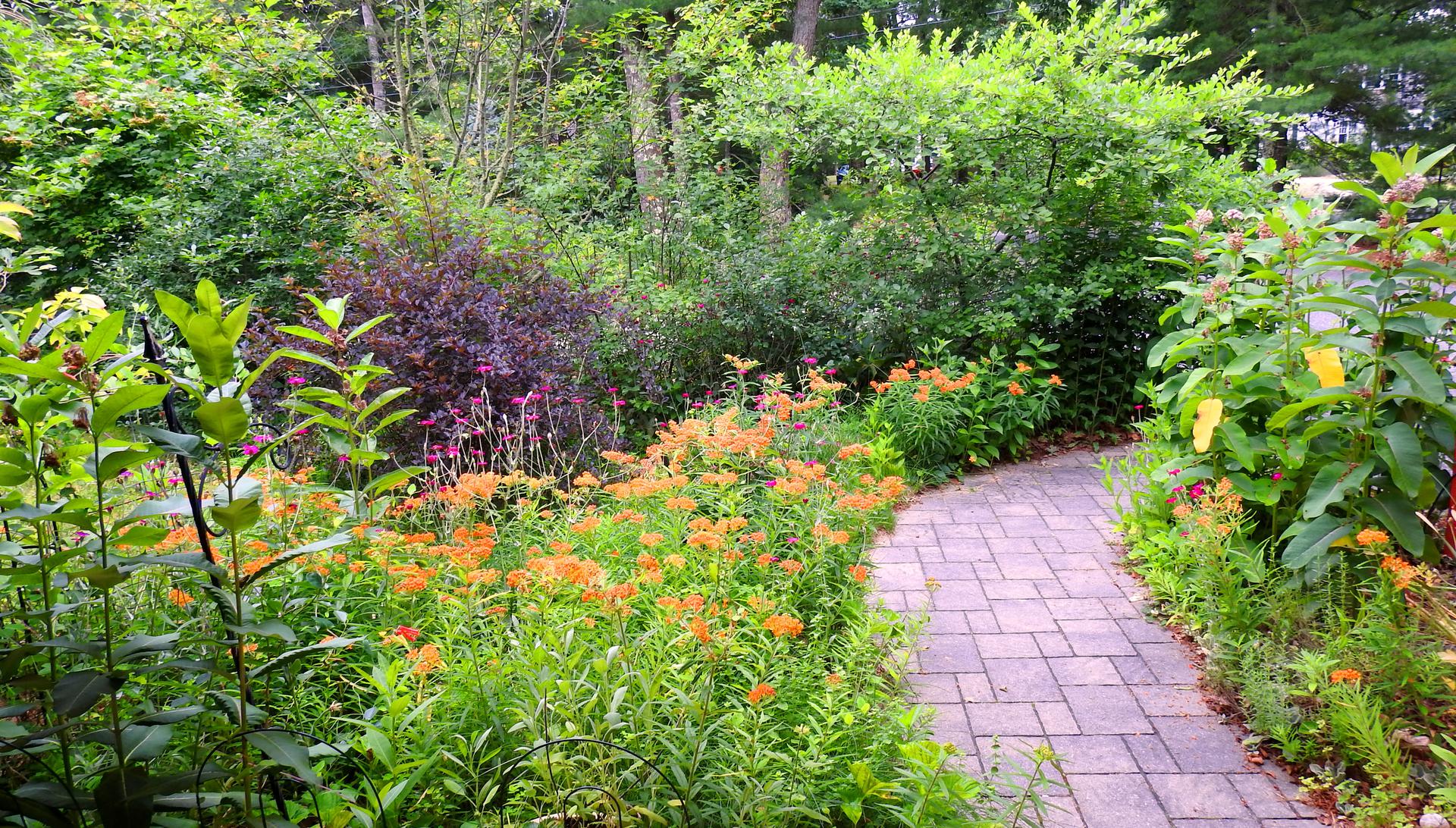 The above photo is the front walk. The photo below is "a flower plot ...