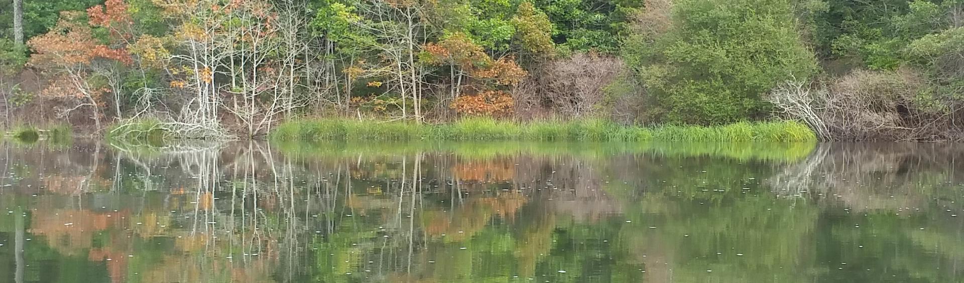 The initiation of this project is an enormous milestone and will be ...