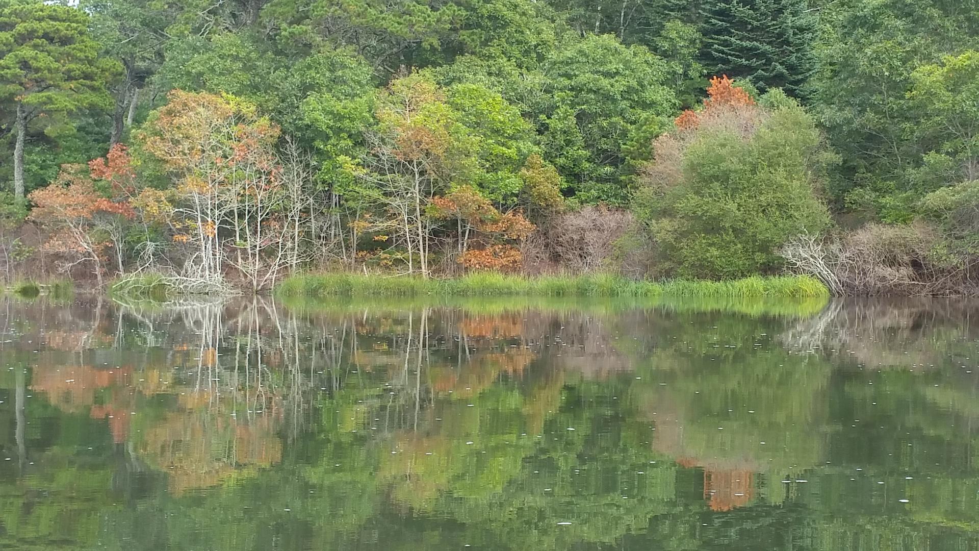 Freshwater Initiative