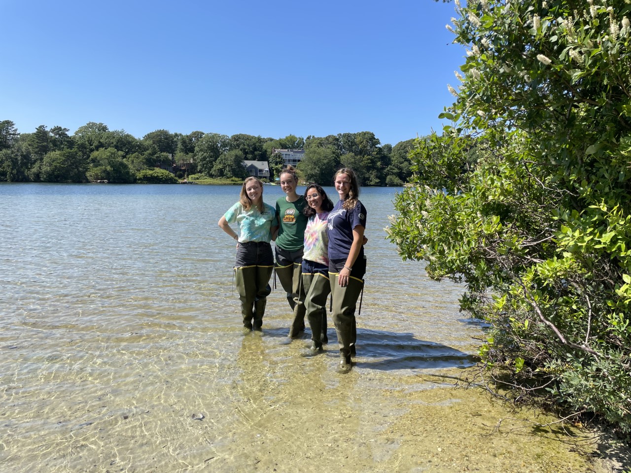 The Jewels of Cape Cod ~ Our Freshwater Ponds