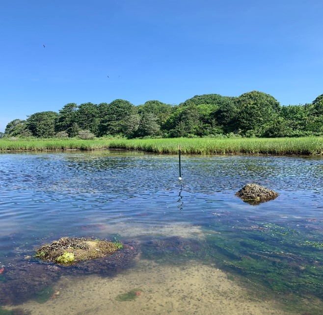 Above: A data logger installed at the Oyster Pond site immediately downstream of the culvert ...