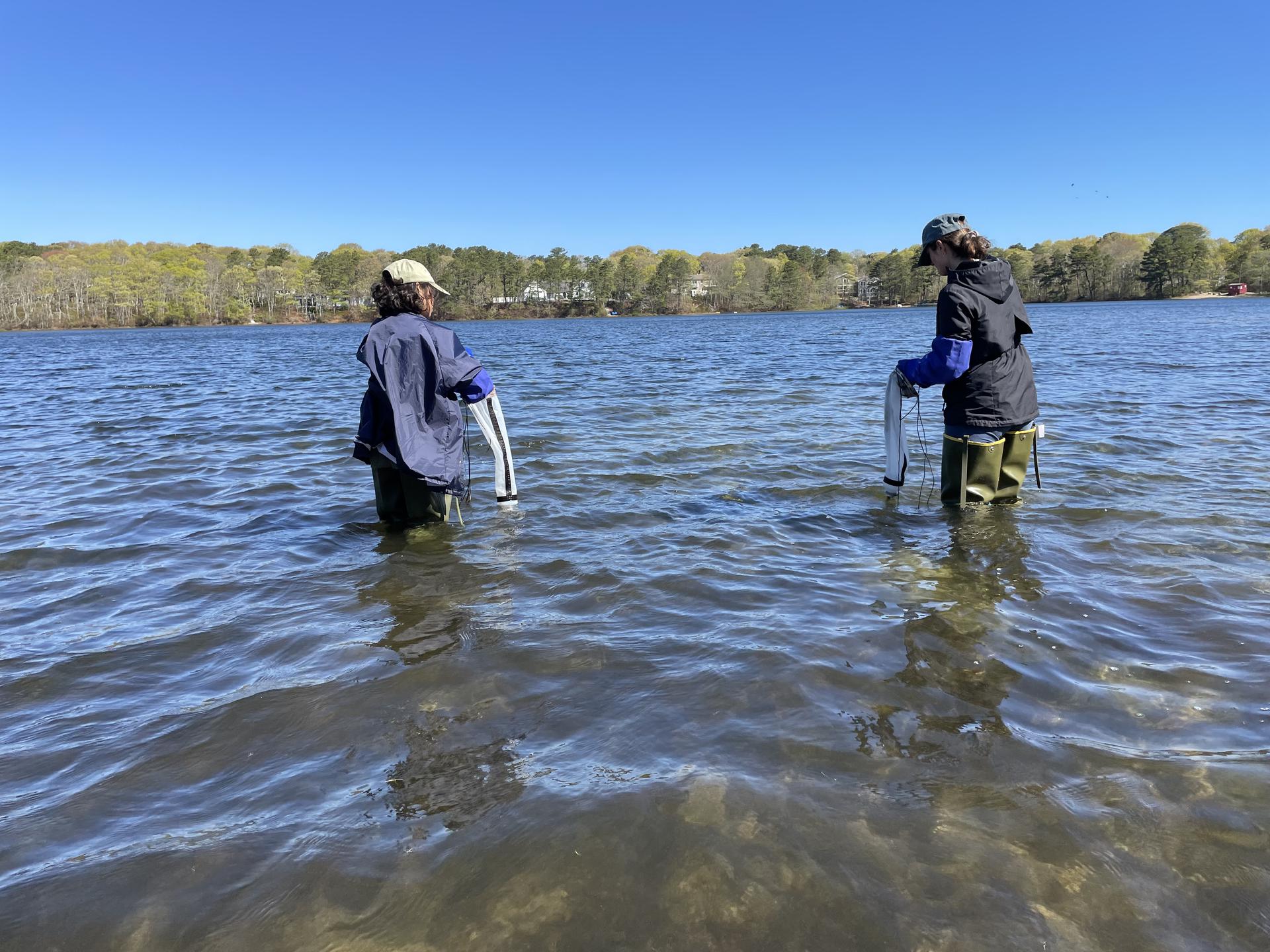 The Jewels of Cape Cod ~ Our Freshwater Ponds