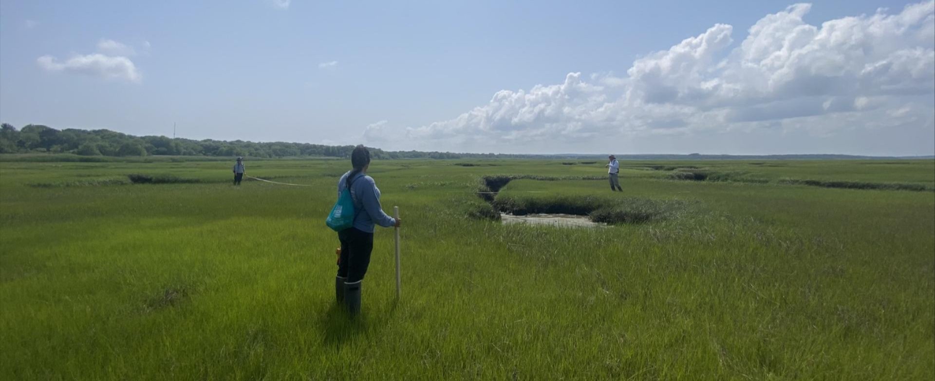The 2023 State of the Waters: Cape Cod report content can be viewed on ...