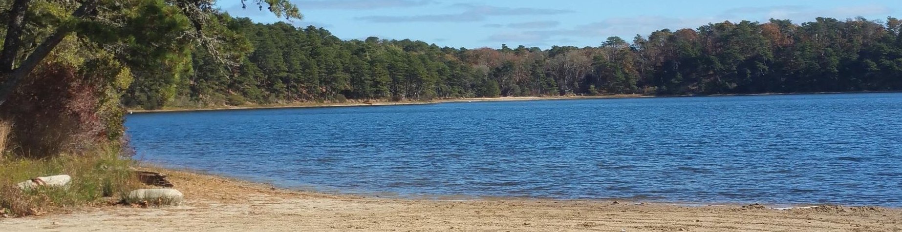 Cape Cod Ponds Network