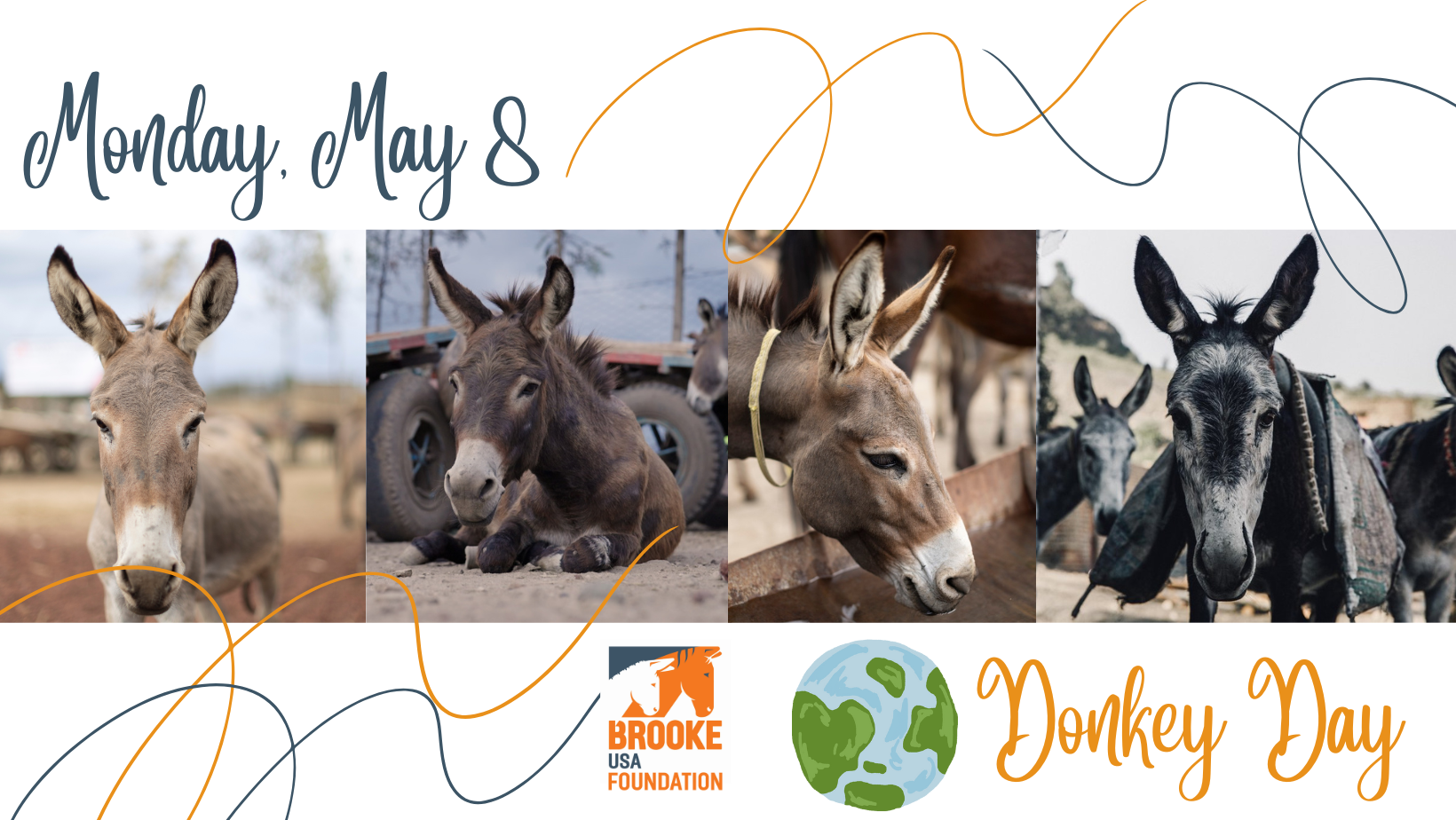 May 2023 Newsletter — Brooke USA