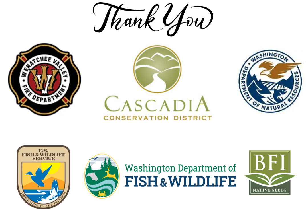 Balsamroot Fire Update