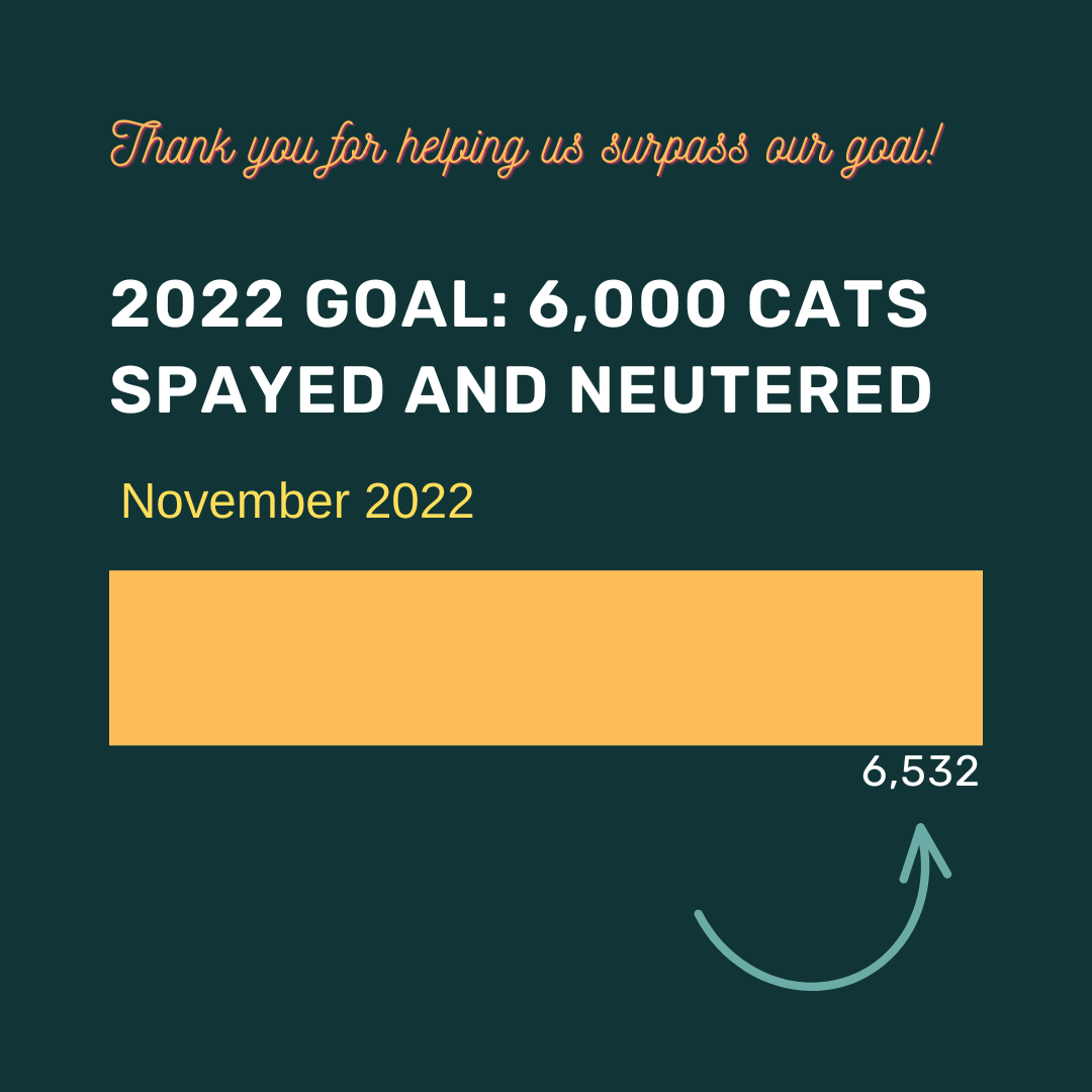 planet manners: Washington state USA: The excellent Feral Cat Spay ...