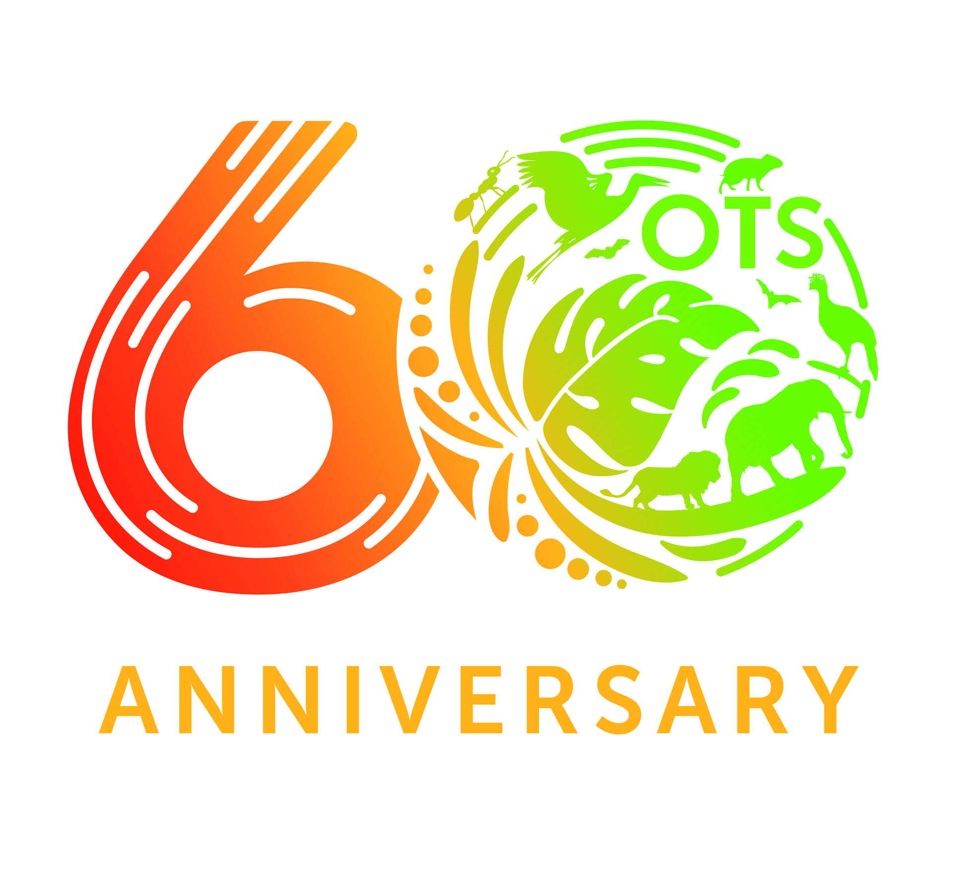 Our Contact Information